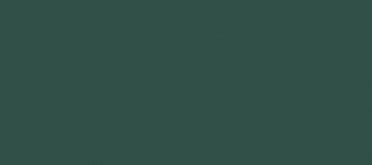 Vallejo Model Color Colour 70-896 German Extra Dark Green 099