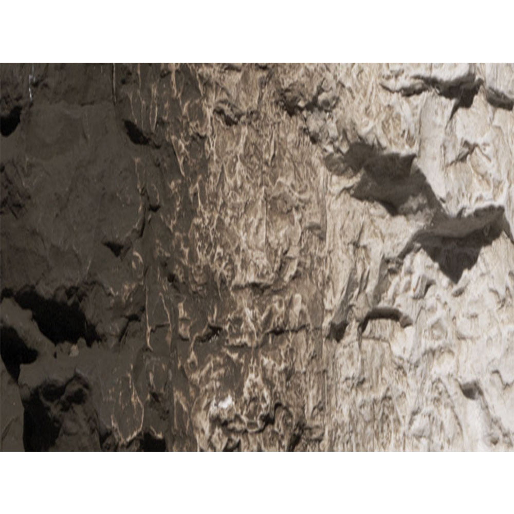 Woodland Scenics Raw Umber Terrain Paint 4 Oz C1221 • Canada's largest ...