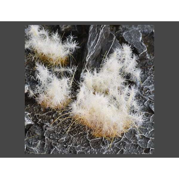 Gamers Grass Spikey Winter Wild Tufts GGK-W • Canada's largest ...