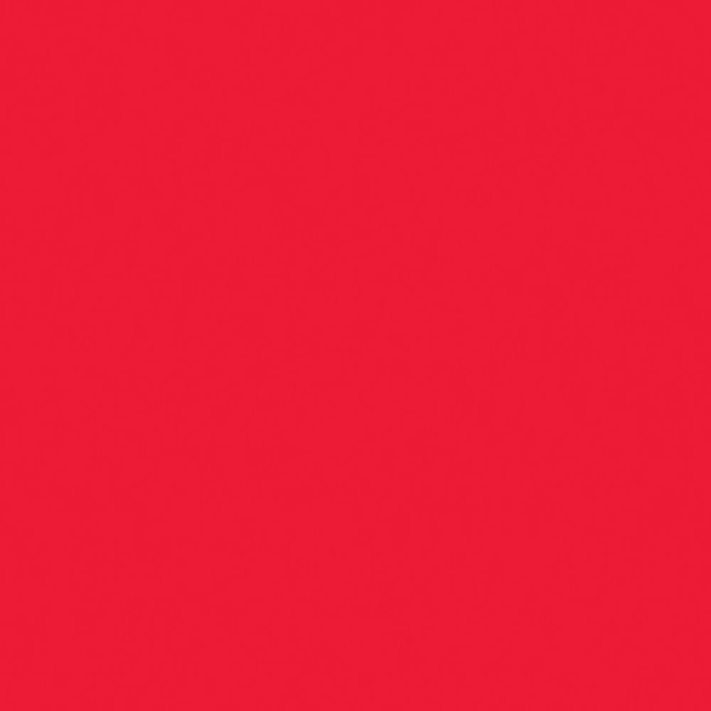 Createx Wicked Detail Scarlet 2oz 60ml W053-02 • Canada's largest ...
