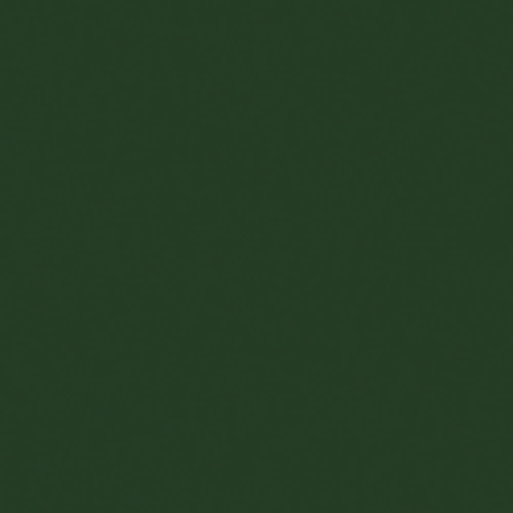 Createx Wicked Detail Moss Green 2oz 60ml W059-02 • Canada's largest ...