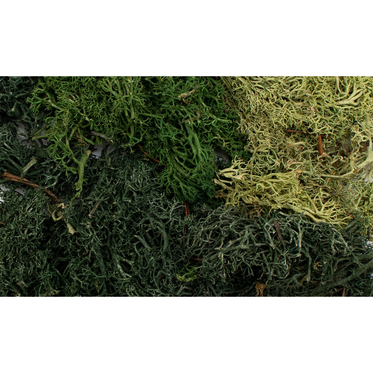 All Game Terrain Summer Mix Ez bushes 6501 • Canada's largest selection ...