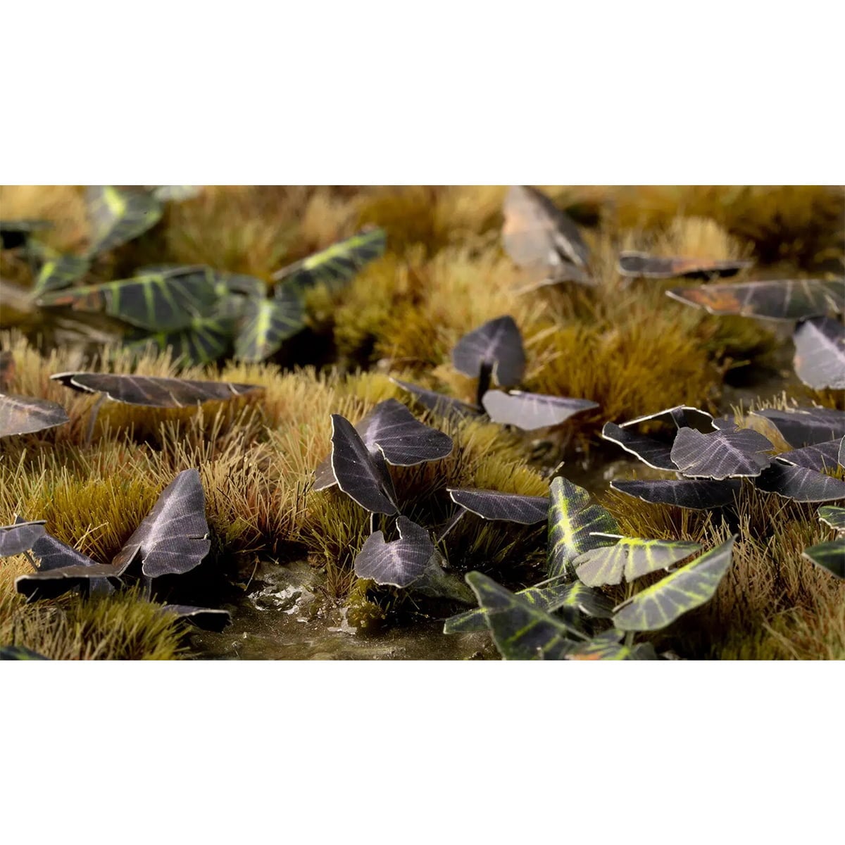 Gamers Grass Laser Plants Black Magic Taro GGLP-BMT • Canada's largest ...