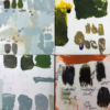 Scale Model Oil Paint Swatch Modulation and Colour-Mapping 2.0 • Canada ...