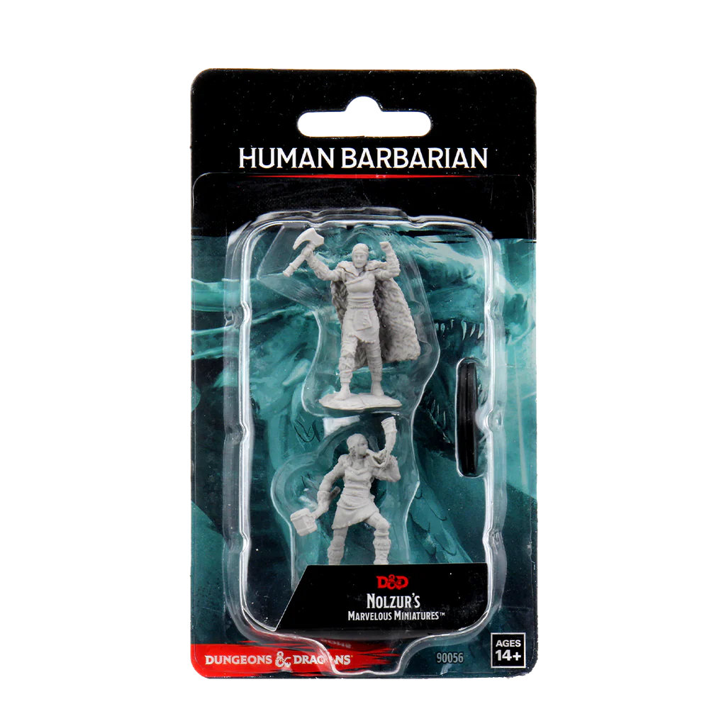 Wizkids D and D Nolzurs Marvelous Unpainted Miniatures Wave 12 Female ...