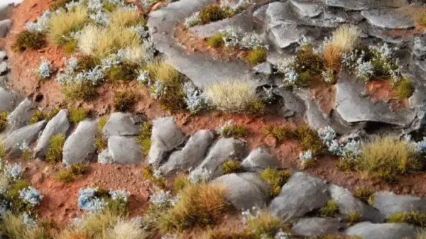 Gamers Grass Forget-Me-Not Tiny Flowers GGFS-FMN • Canada's largest ...