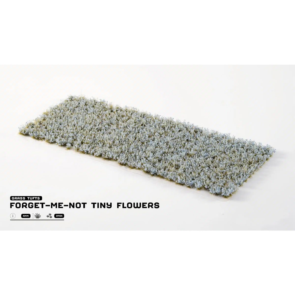 Gamers Grass Forget-Me-Not Tiny Flowers GGFS-FMN • Canada's largest ...